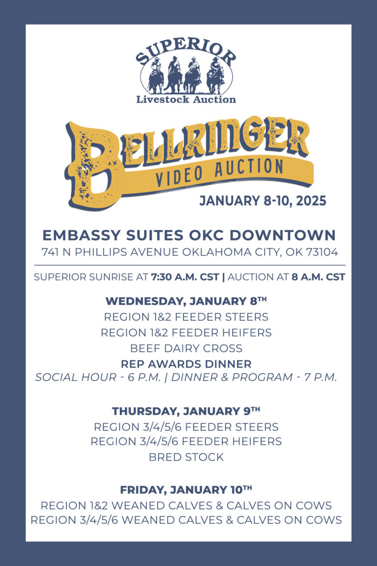 Bellringer 2025 Sale Order & Schedule – Superior Livestock Auction